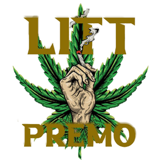 LITT Live